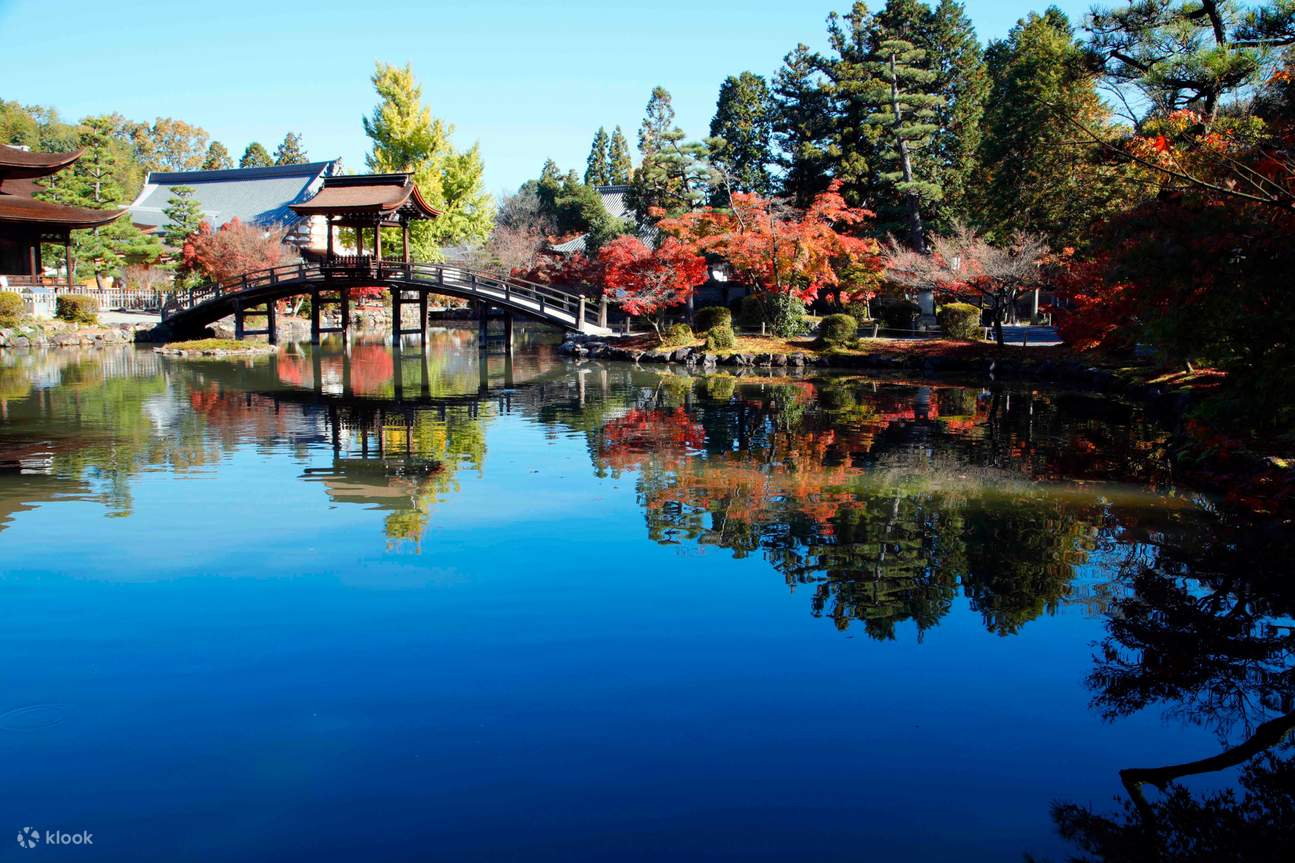 Kokeizan Eiho Temple, Obara Shiki-Zakura, and Korankei Autumn Trip from ...