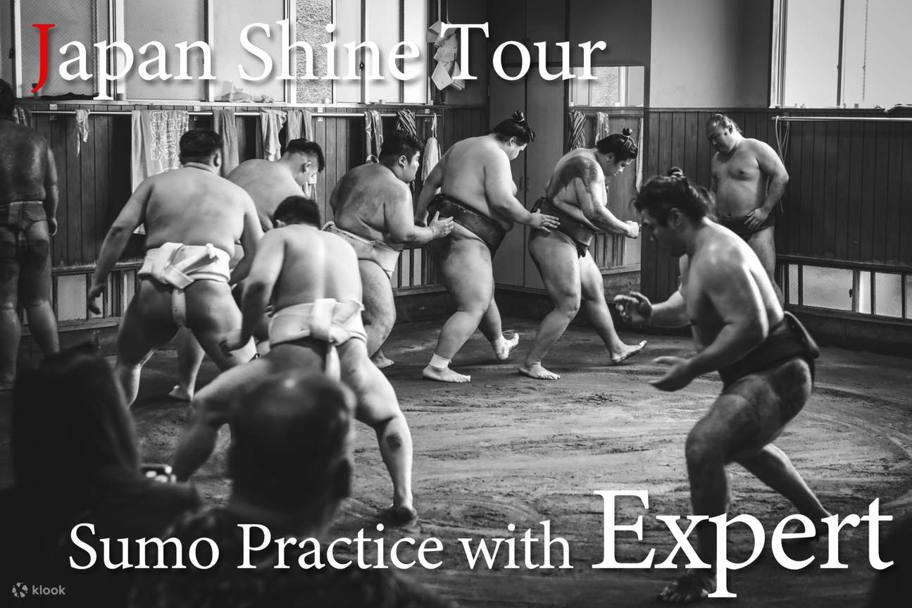 Tokyo City, Sumo Morning Practice Watching with a Sumo Specialist - Klook