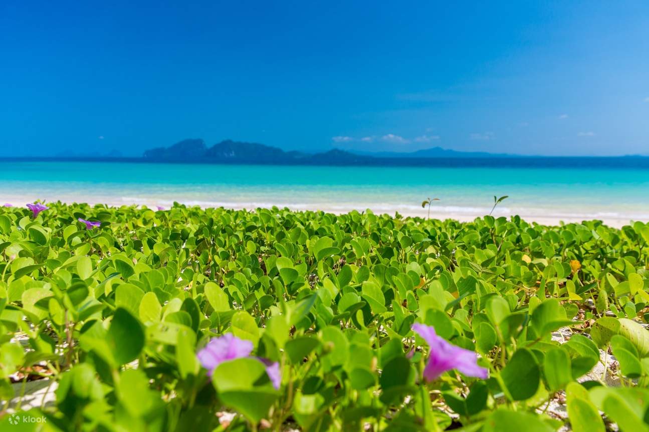 Join 4 Islands Emerald Cave Kradan Island Chuek Island Waen Island in ...