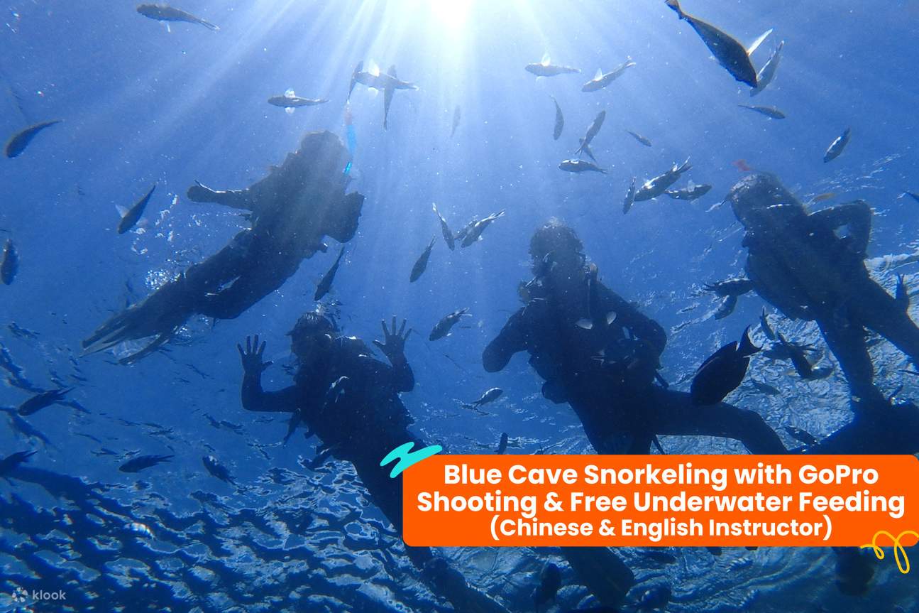 Pase para múltiples atracciones Klook Okinawa [¡Combine y ahorre!] - Klook Estados Unidos