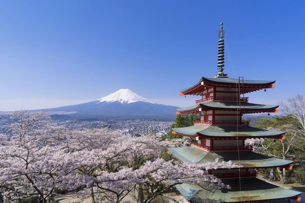 Hakuba Tsugaike Snow Wall & Shinshu's 2 Best Cherry Blossom Spots in ...