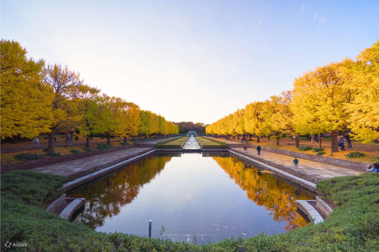Showa Kinen National Park Flower Viewing One Day Tour from Tokyo ...