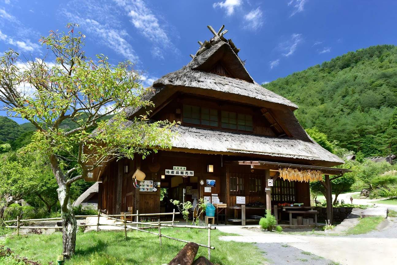 Tur Bus Gabungan Mount Fuji, Kawakuchiko, dan Arakurayama Sengen Park dengan Bunga dari Tokyo ...