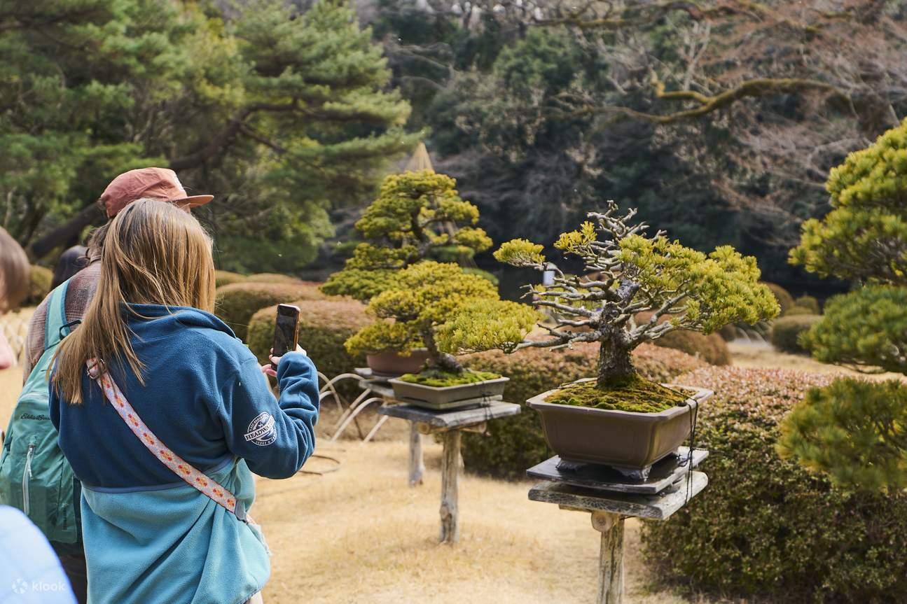 Shibuya Walking Tour with a Local Guide, Meiji Shrine in Tokyo - Klook ...