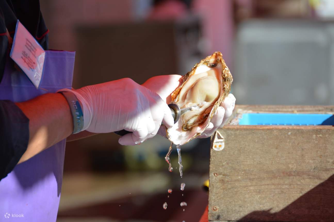 Japan's most beautiful view [Hitachi Seaside Park's butterfly blossoms ...