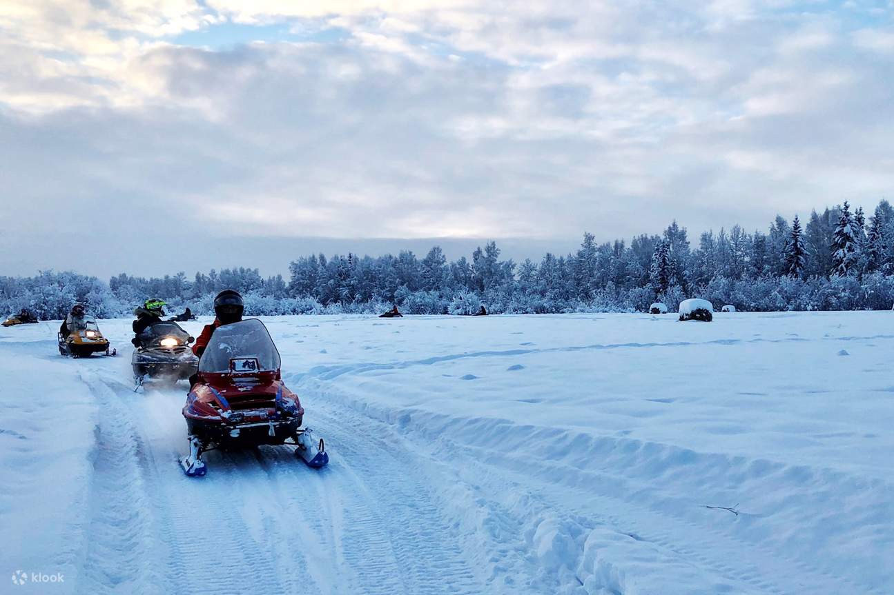Perjalanan Sehari Pengalaman Alaska Fairbanks Snowmobile (1 jam ...