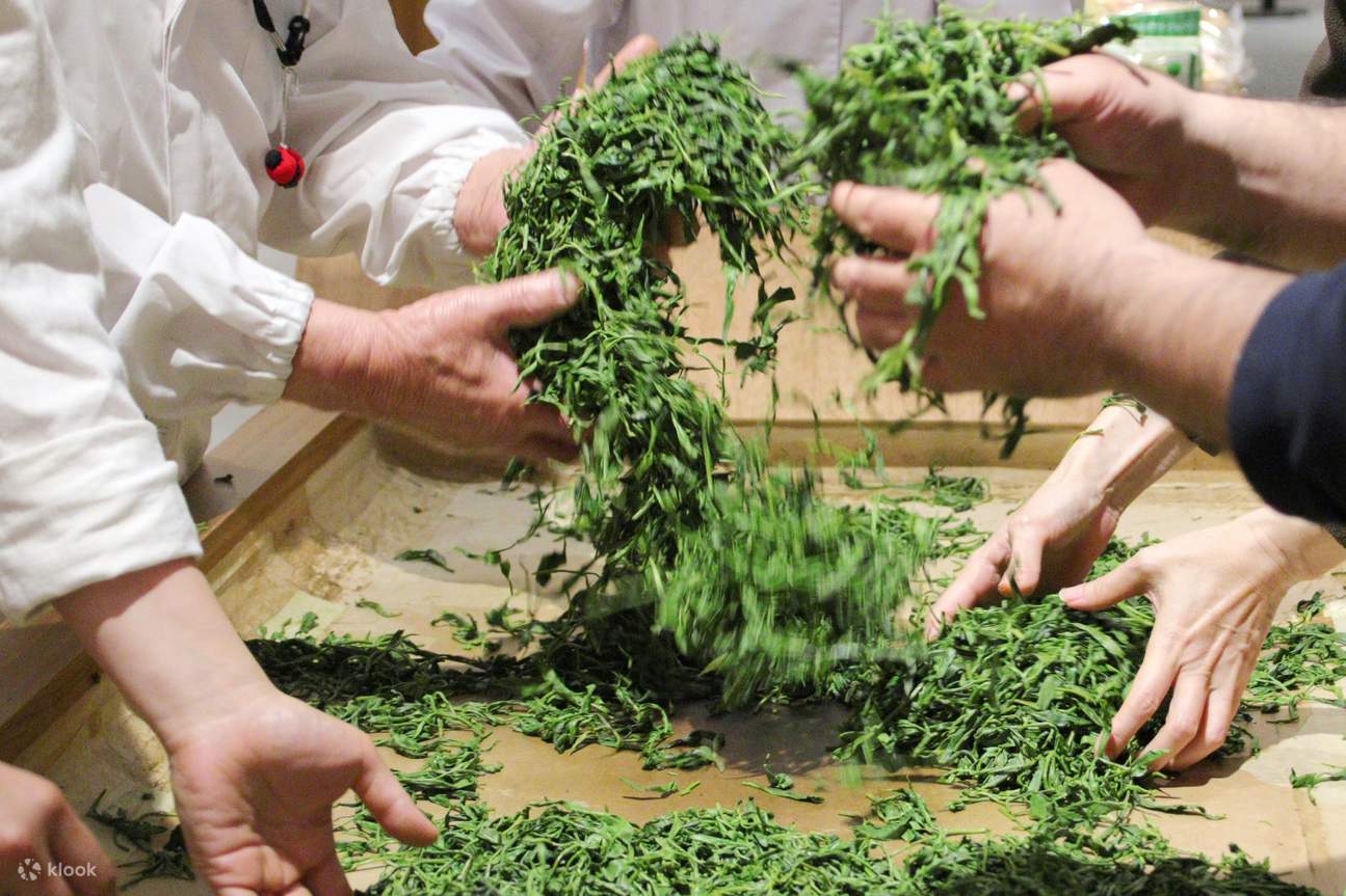 From Nagoya: Matcha, Confections, and Traditions in Nishio - Klook ...