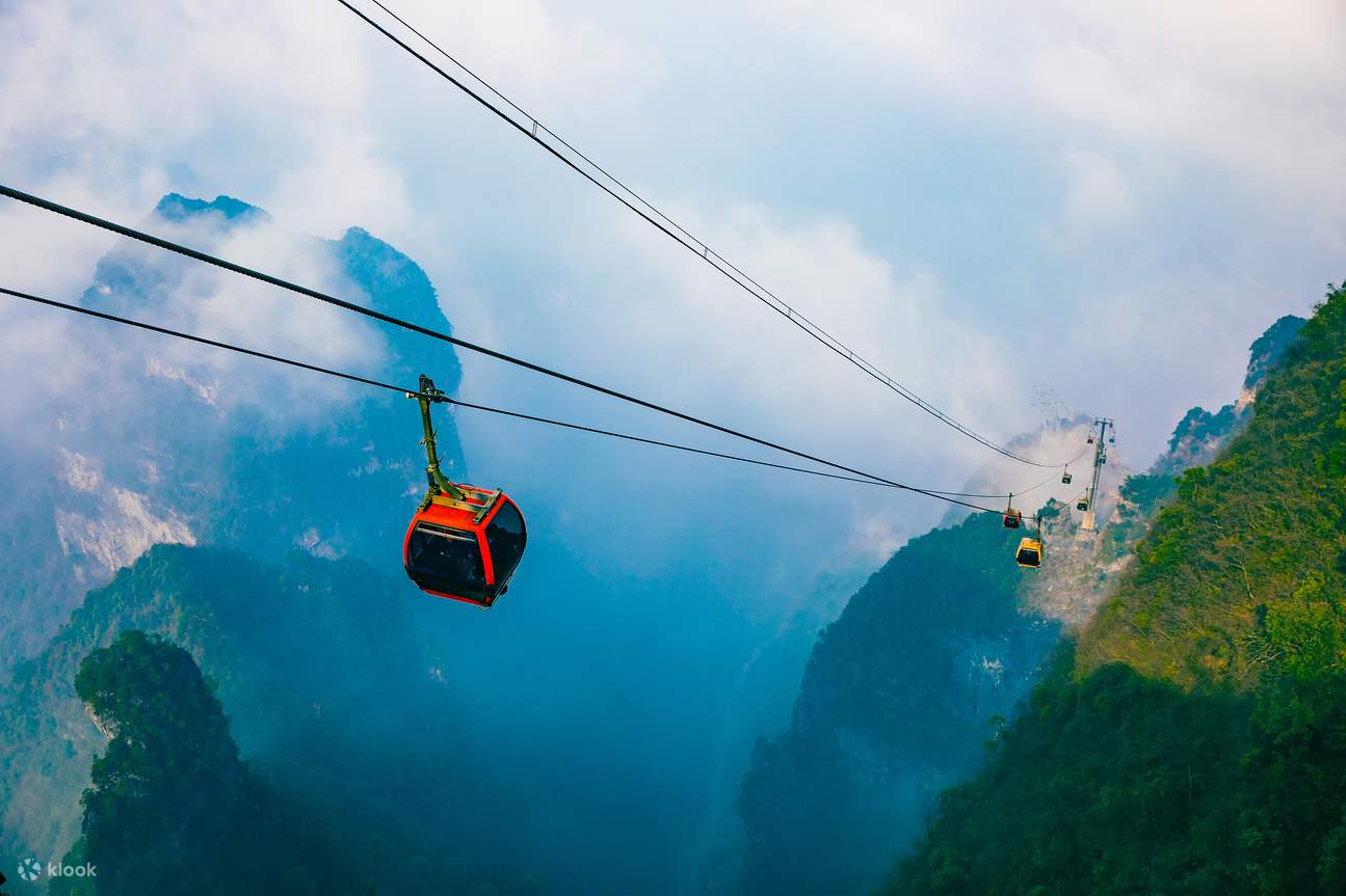 Zhangjiajie Tianmenshan National Forest Park 1-Day Tour (City Pick-up ...