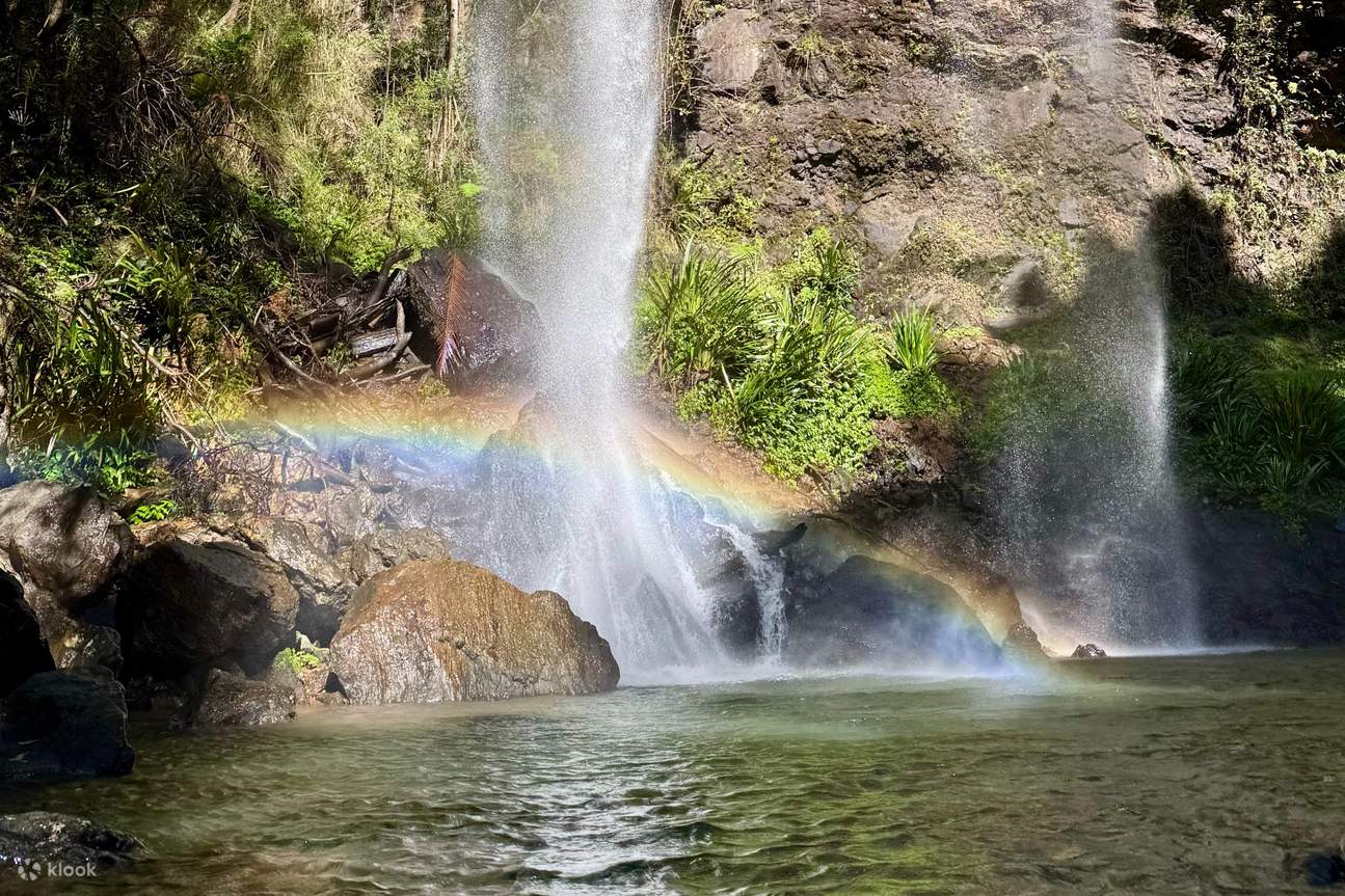 Super 7 Waterfalls and Natural Bridge Day Tour at Springbrook Nation ...