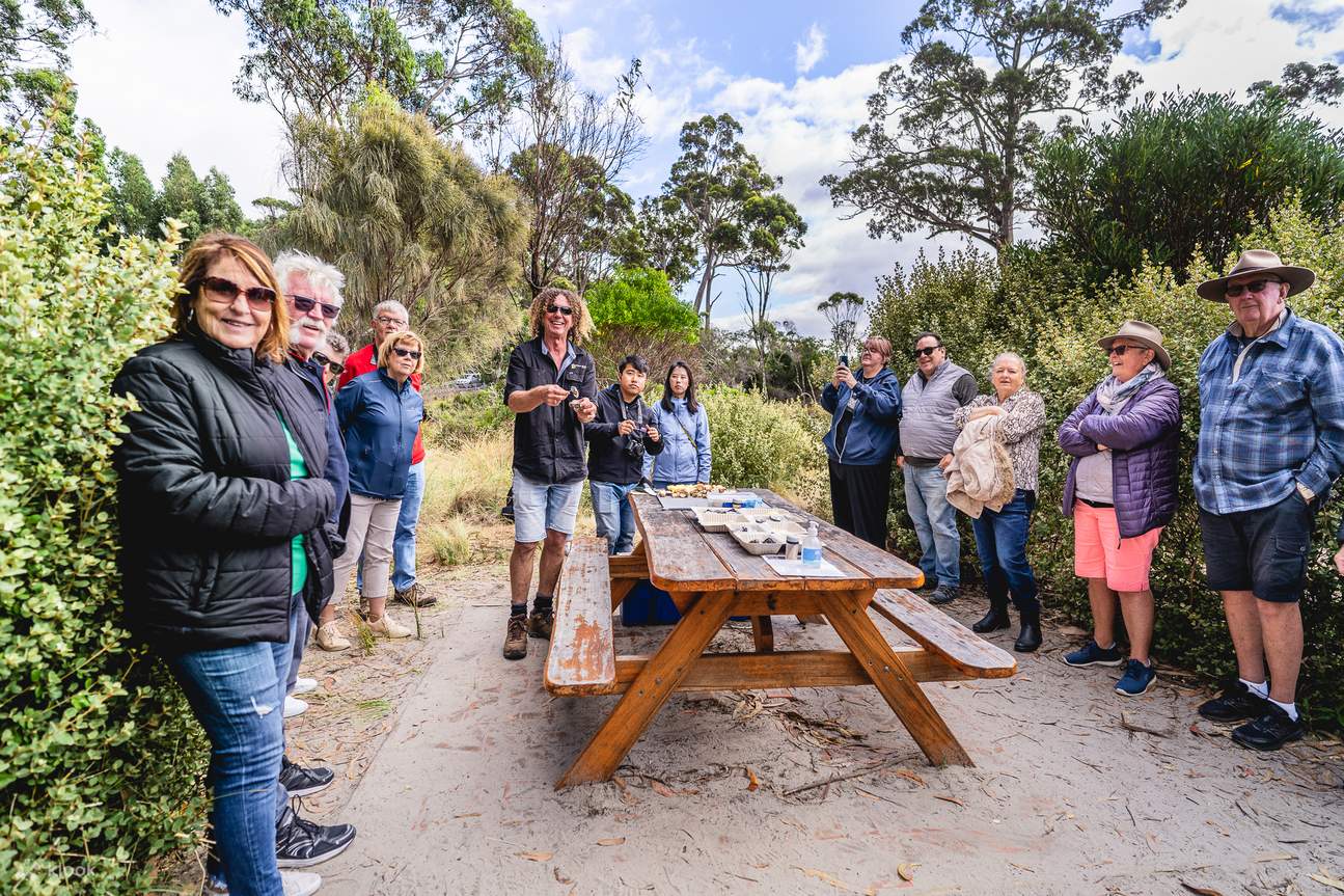 Bruny Island Foods, giro turistico e tour del faro da Hobart - Klook ...