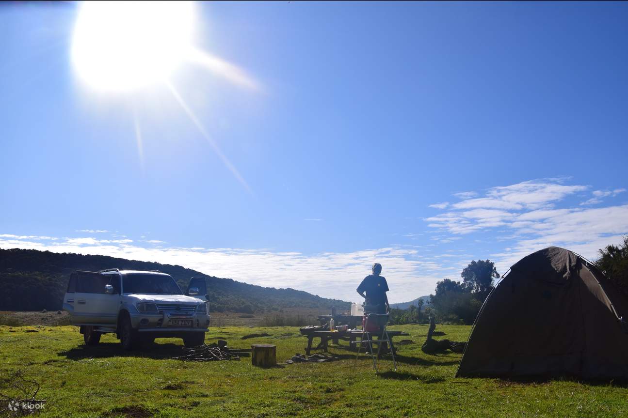 Adventure Awaits: Explore Aberdare for Big 5 Sightings, Waterfalls ...