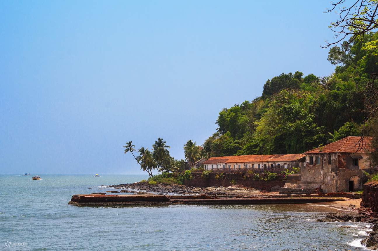 Bottom fishing Goa - Klook United States