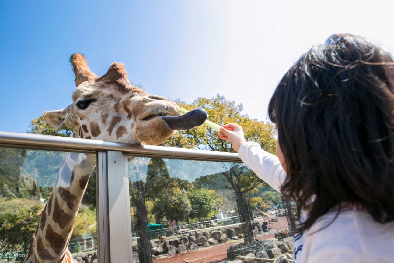 Book Izu Animal Kingdom Admission Ticket at KLOOK! - Klook Philippines