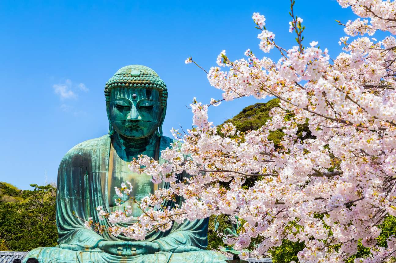 Excursión de un día al Buda gigante de Kamakura, al santuario Tsuruoka Hachimangu, a Enoshima y ...