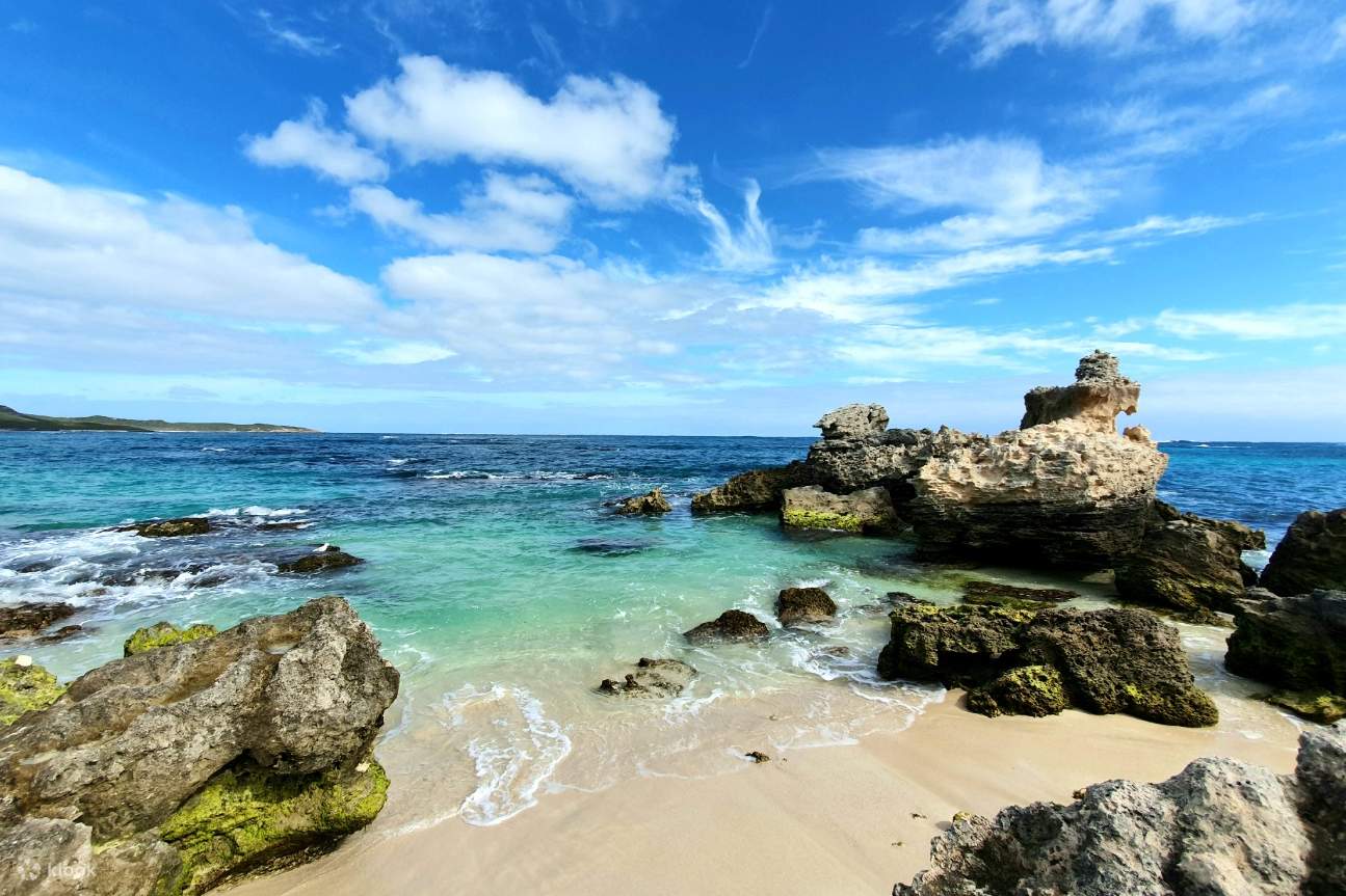 Tur Ultimate Margaret River 3 Hari 2 Malam di Perth - Klook Indonesia