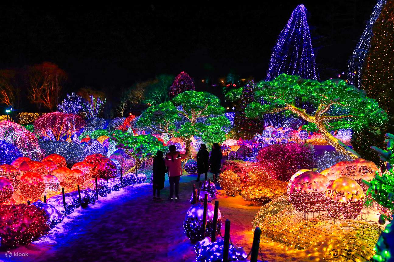 Nami Island (Speedboat)/Alpaca/Rail Bike/Morning Calm Private Tour ...