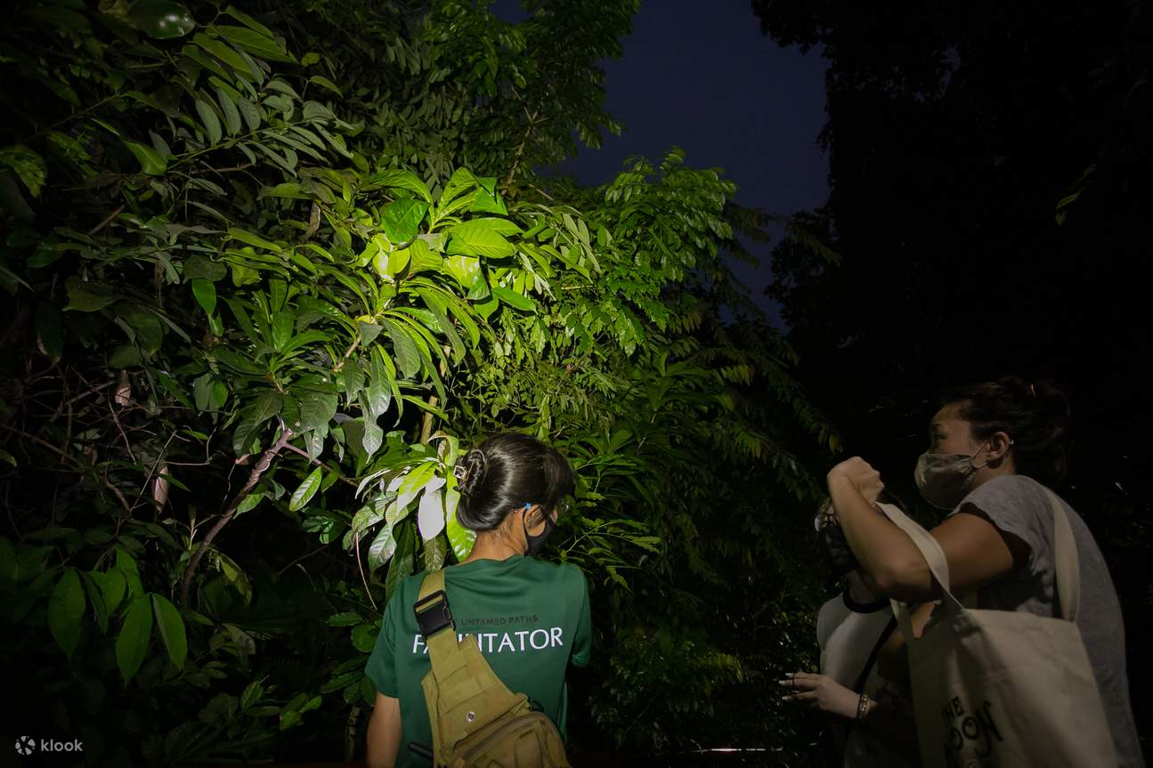 Naturalist Night Adventure in Singapore - Klook Hong Kong