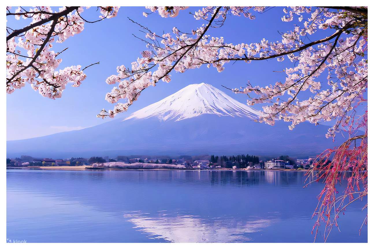Tour panoramico diurno del Monte Fuji - Centro del patrimonio mondiale ...