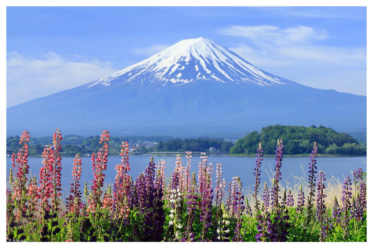Tour panoramico diurno del Monte Fuji - Centro del patrimonio mondiale ...