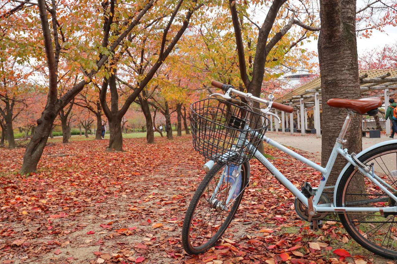 Osaka Castle Area Half Day Biking Tour with Local Guide - Klook Malaysia