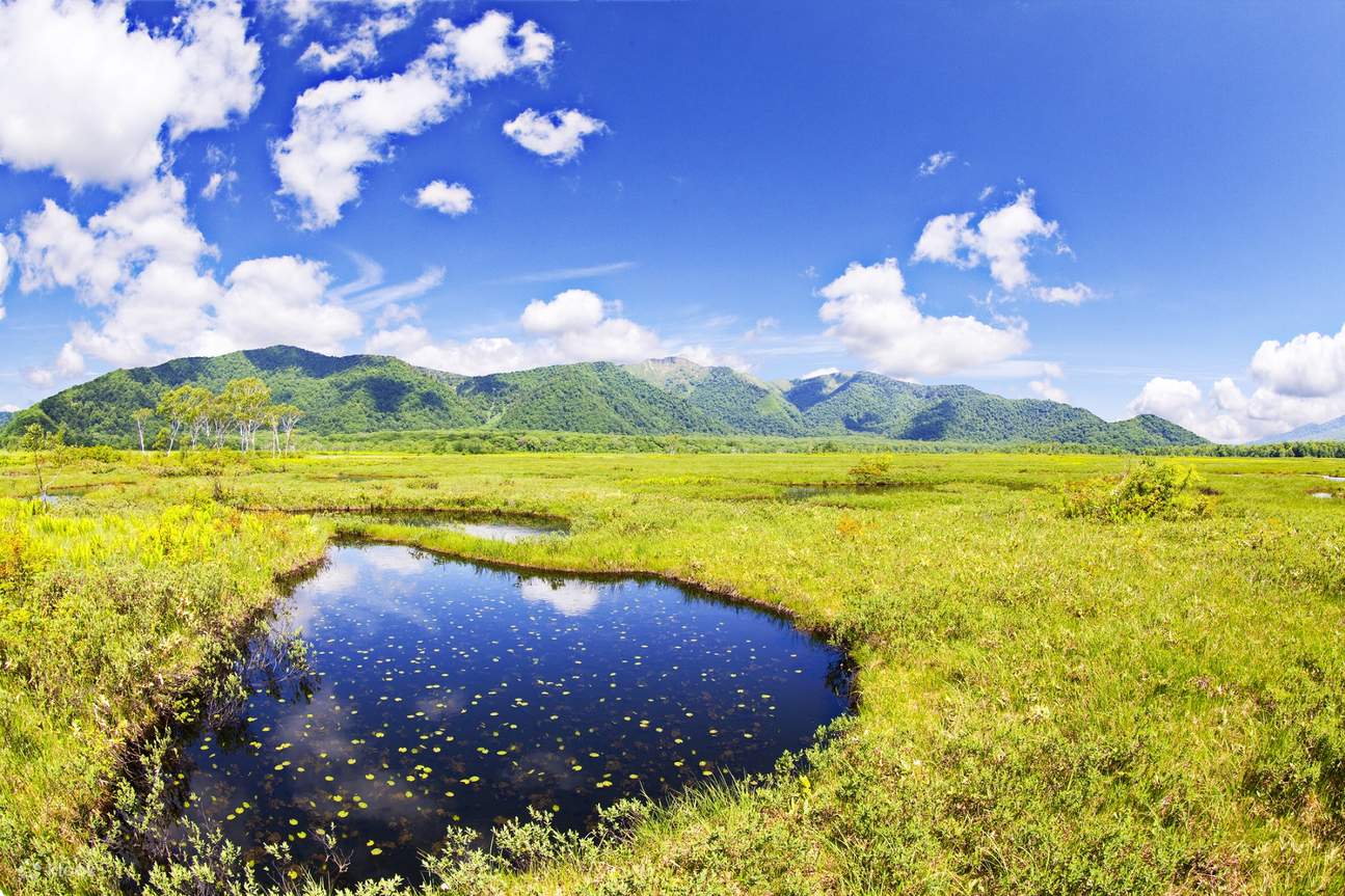 [Gunma Scenic Hiking Tour] Japan's Largest Plateau Wetland "Oze-no-hara ...