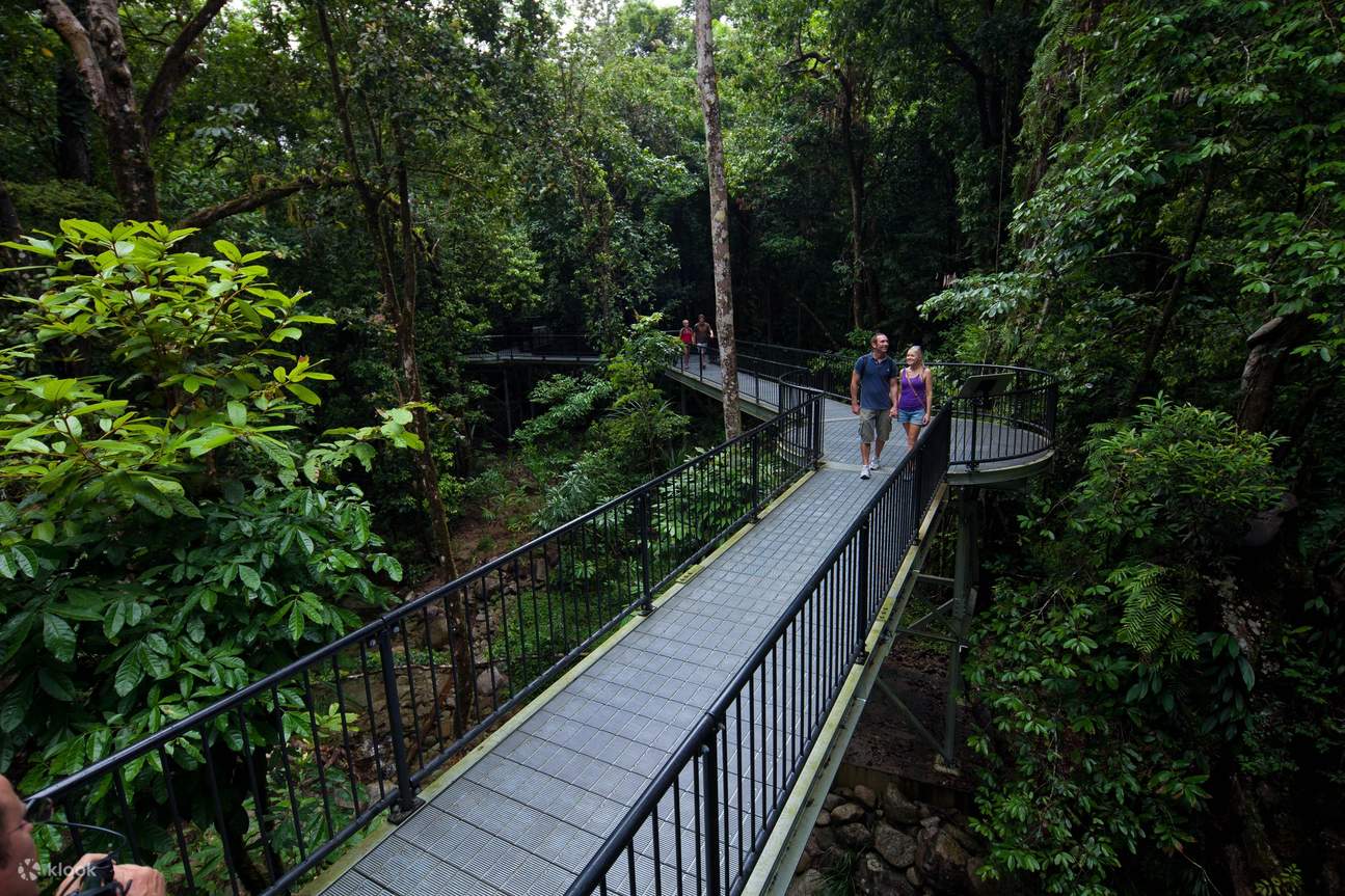 Mossman Gorge Daintree Experience - Klook Australia