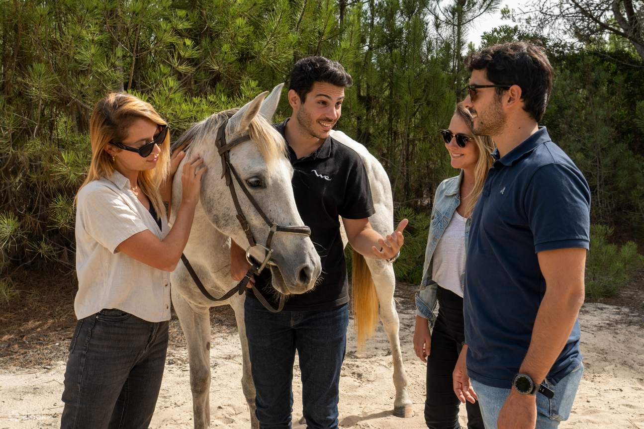 Horseback Riding Experience In Comporta And Setubal City Tour in from ...
