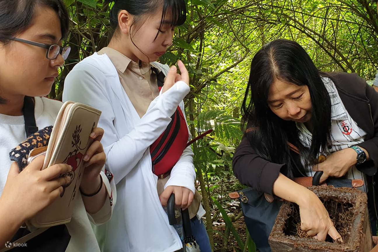 1 Hour Milea Bee Farm Tour E-Ticket in Batangas - Klook Philippines