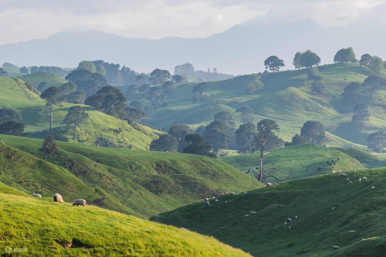 Lawatan Harian Berpandu ke Hobbiton - Klook Amerika Syarikat