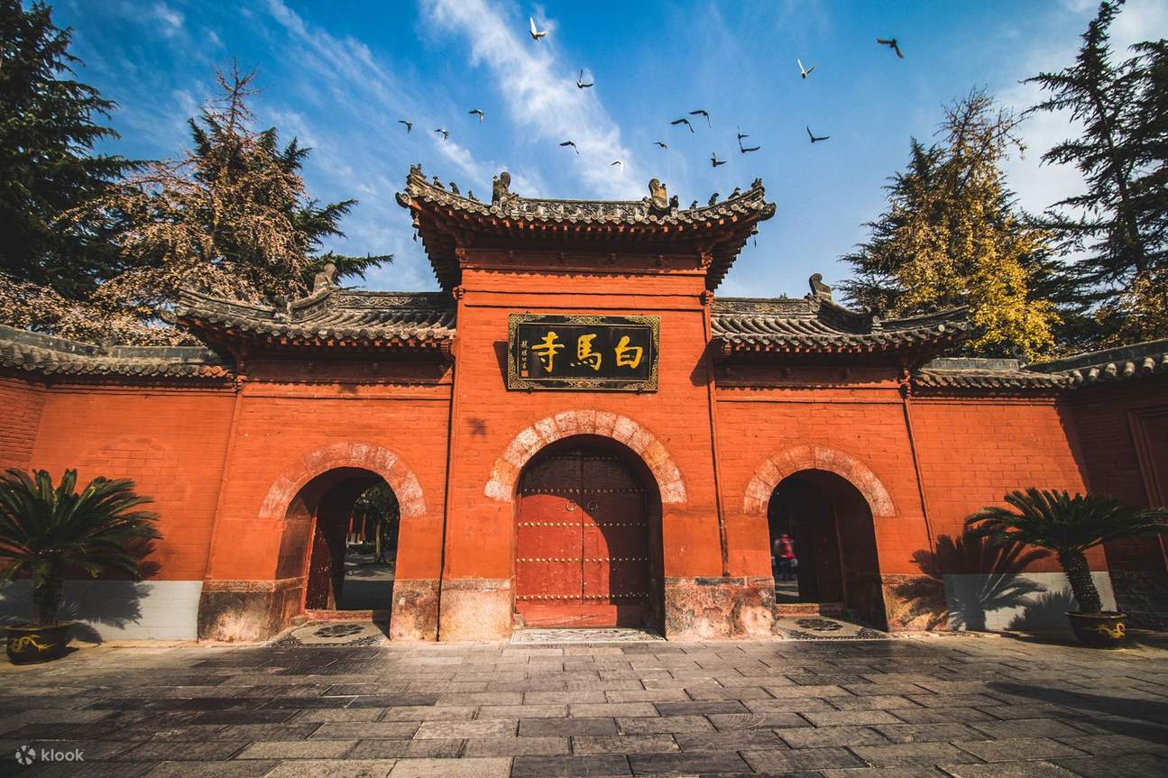 Luoyang White Horse Temple, Longmen Grottoes and Museum Day Tour (1400 ...