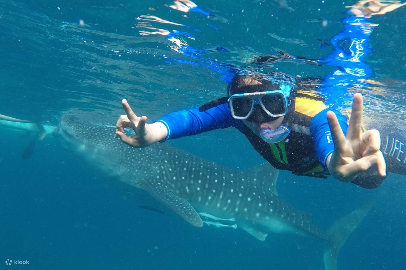 Oslob Whaleshark & Badian Canyoneering Tour in Cebu - Klook