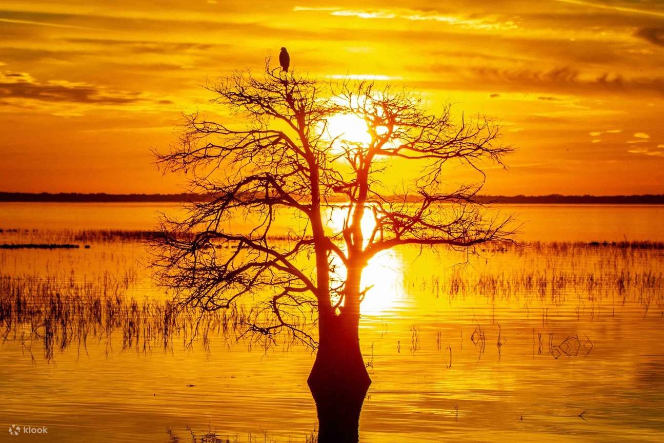 Sunset Tour at Boggy Creek Airboat Adventures - Klook Estados Unidos