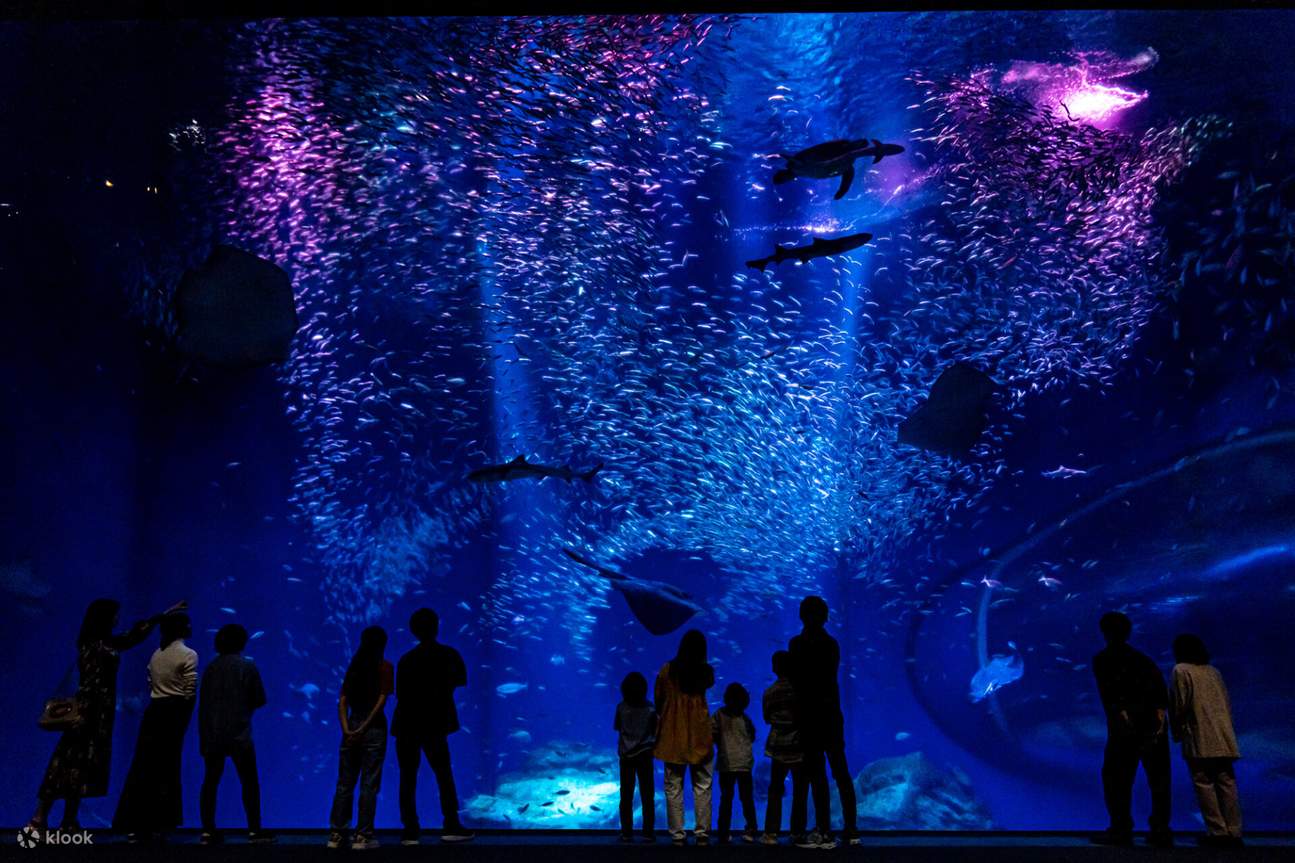 Ibaraki Hitachi Seaside Park & Oarai Isosaki Shrine Torii Gate Day Trip ...