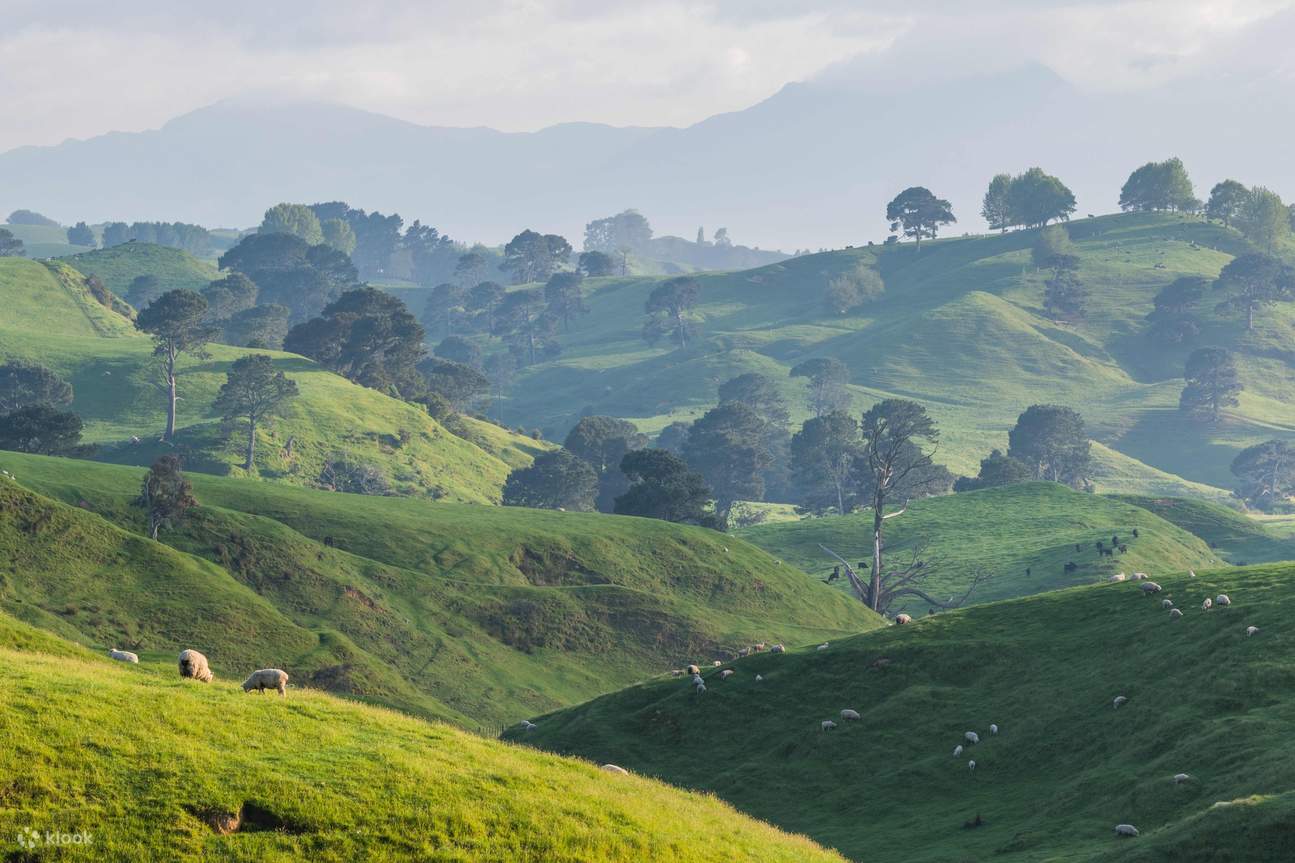 Hobbiton Movie Set Guided Tour from Auckland - Klook United Kingdom