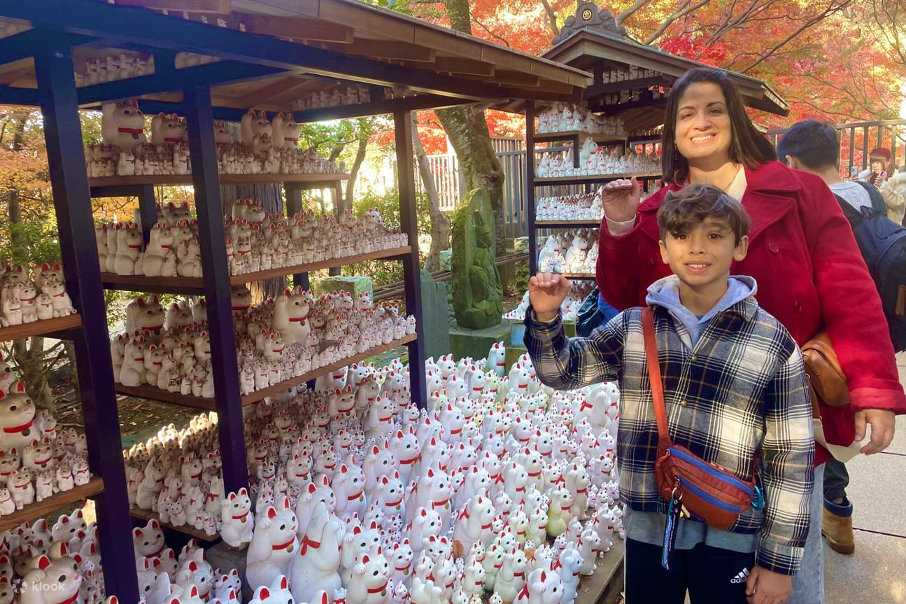 Gotokuji Cat temple, Shinjuku Cat cafe and 3D Cat tour (Tokyo) - Klook ...