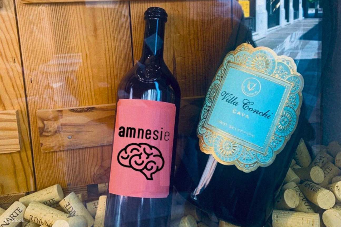 Amnesia Outdoor City Escape Game in Rapperswil - Klook Singapore