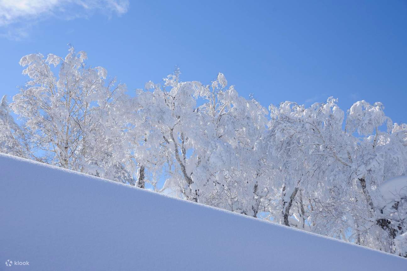 Shittle Bus Kiroro Ski Resort ke/dari New Chitose Airport (CTS) - Klook ...