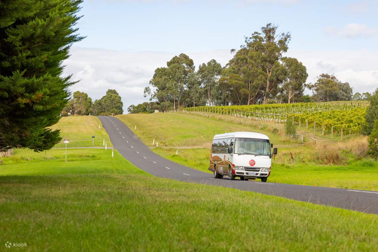 Yarra Valley Wine Experience Day Tour from Melbourne - Klook Singapore