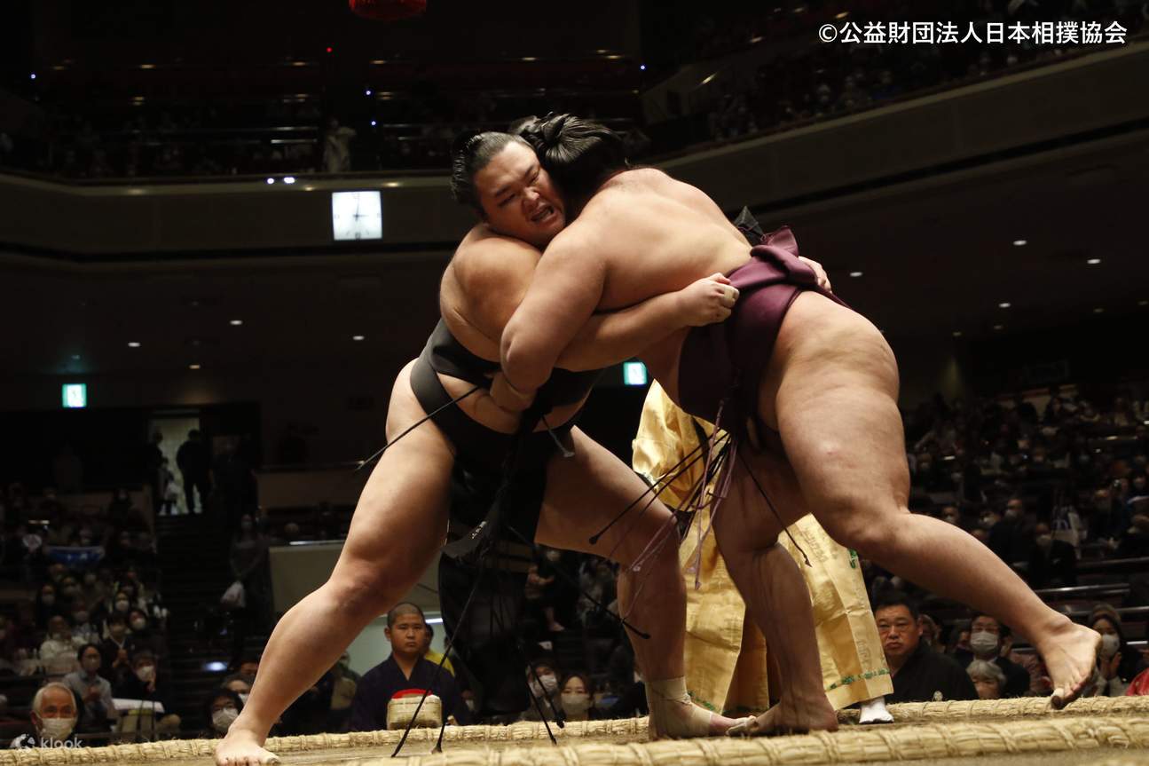 2026 Spring Sumo Provincial Tour Viewing - Klook Australia