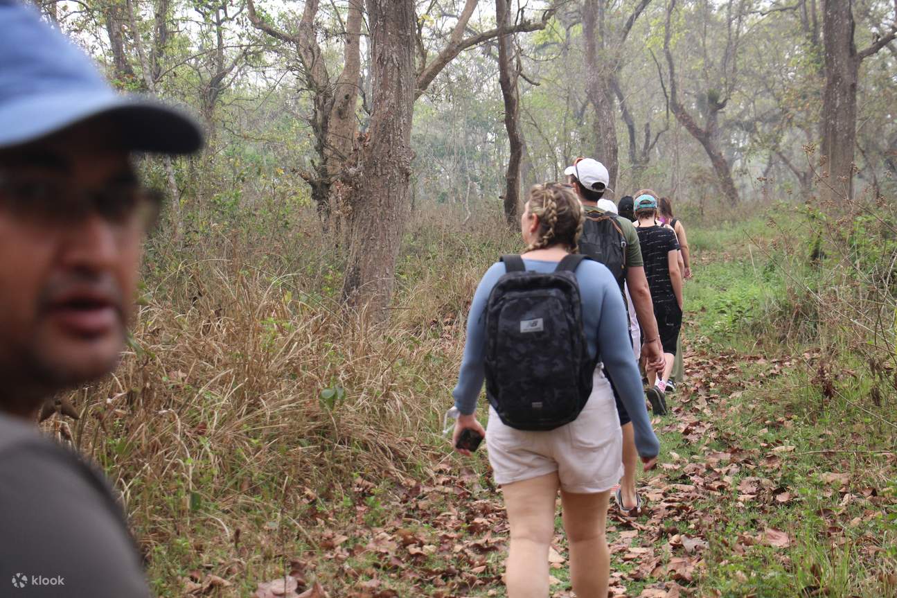 Chitwan National Park Tour: 2 Nights 3 Days Jungle Safari Package for ...