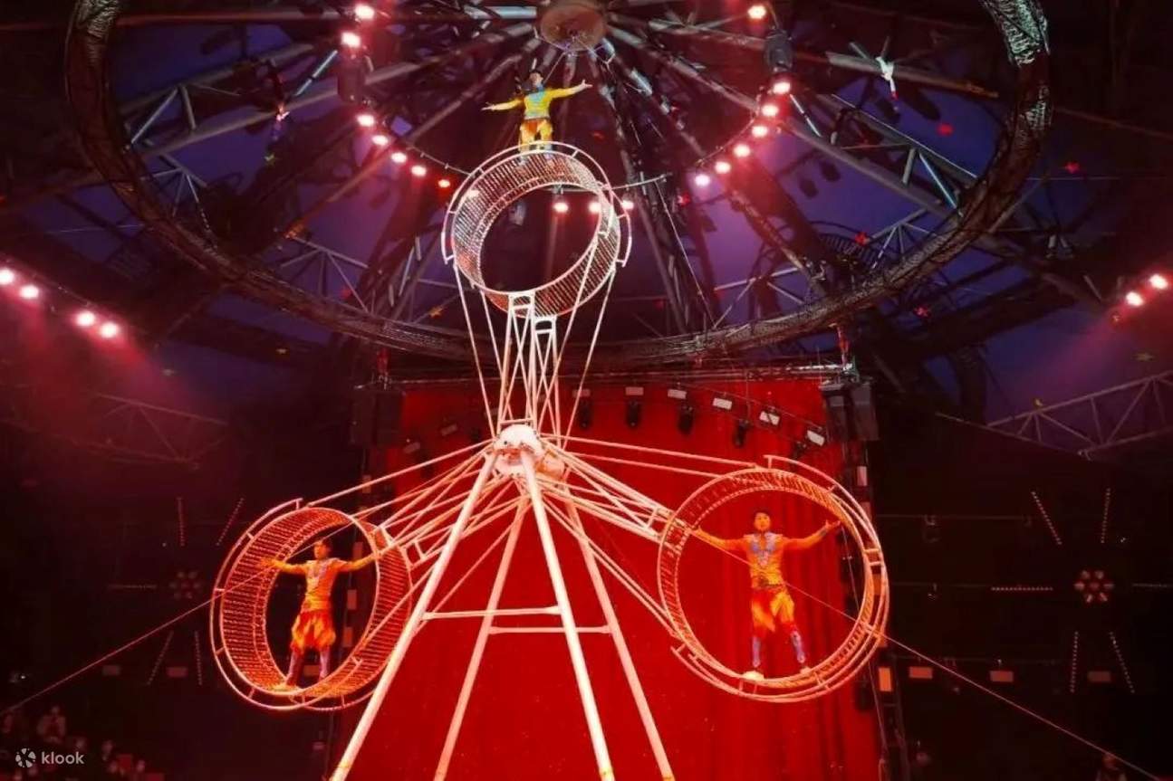 Heilongjiang Northeast Tiger Forest Park International Circus City ...