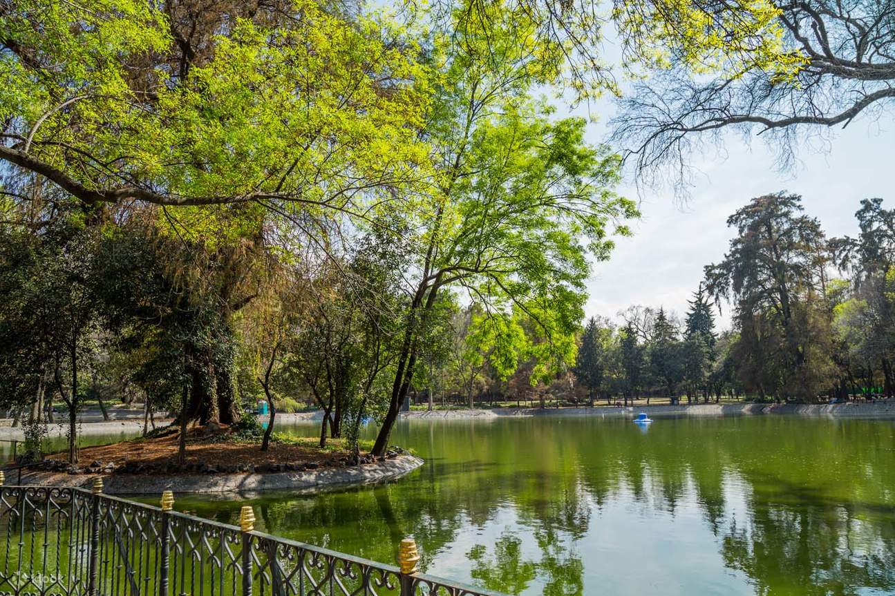 Guided Tour Of Chapultepec Park By Bike in Mexico City - Klook India