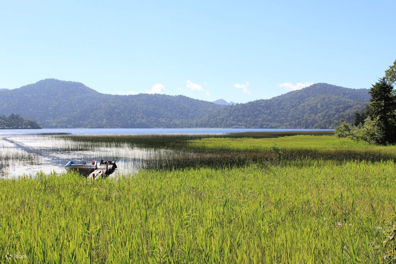 [Randonnée panoramique à Gunma] La plus grande zone humide de plateau ...