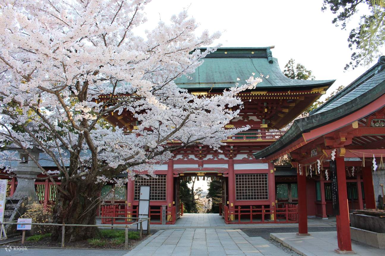 Tur Sehari: Berangkat dari/ke Stasiun Sendai - Kuil Shiogama - Matsushima, Tiga Pemandangan ...