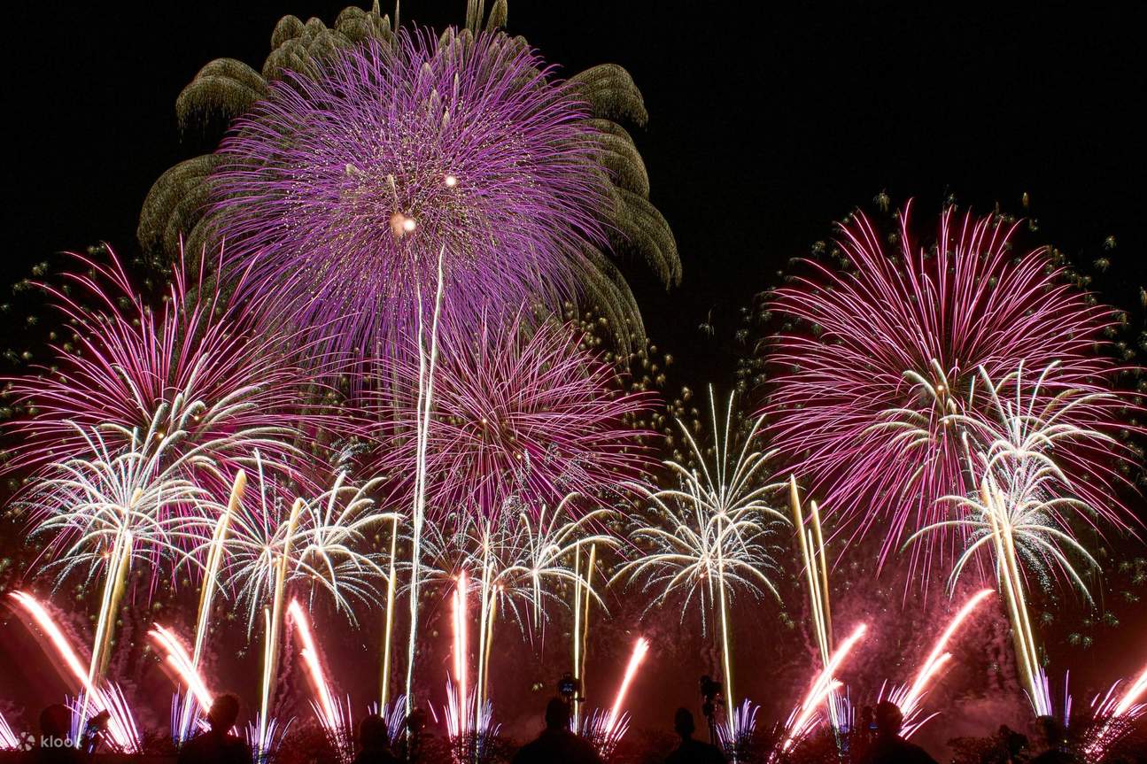 Ibaraki: Day Trip to "Tsuchiura Fireworks Competition," One of Japan's ...