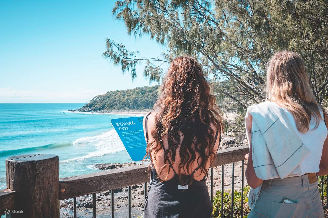 Sunshine Coast Hinterland & Noosa Small Group Tour - Klook Philippines