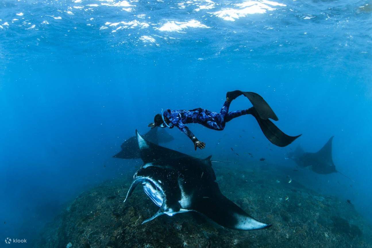 Nusa Penida Speedboat Day Tour and Snorkeling with Manta Rays - Klook ...