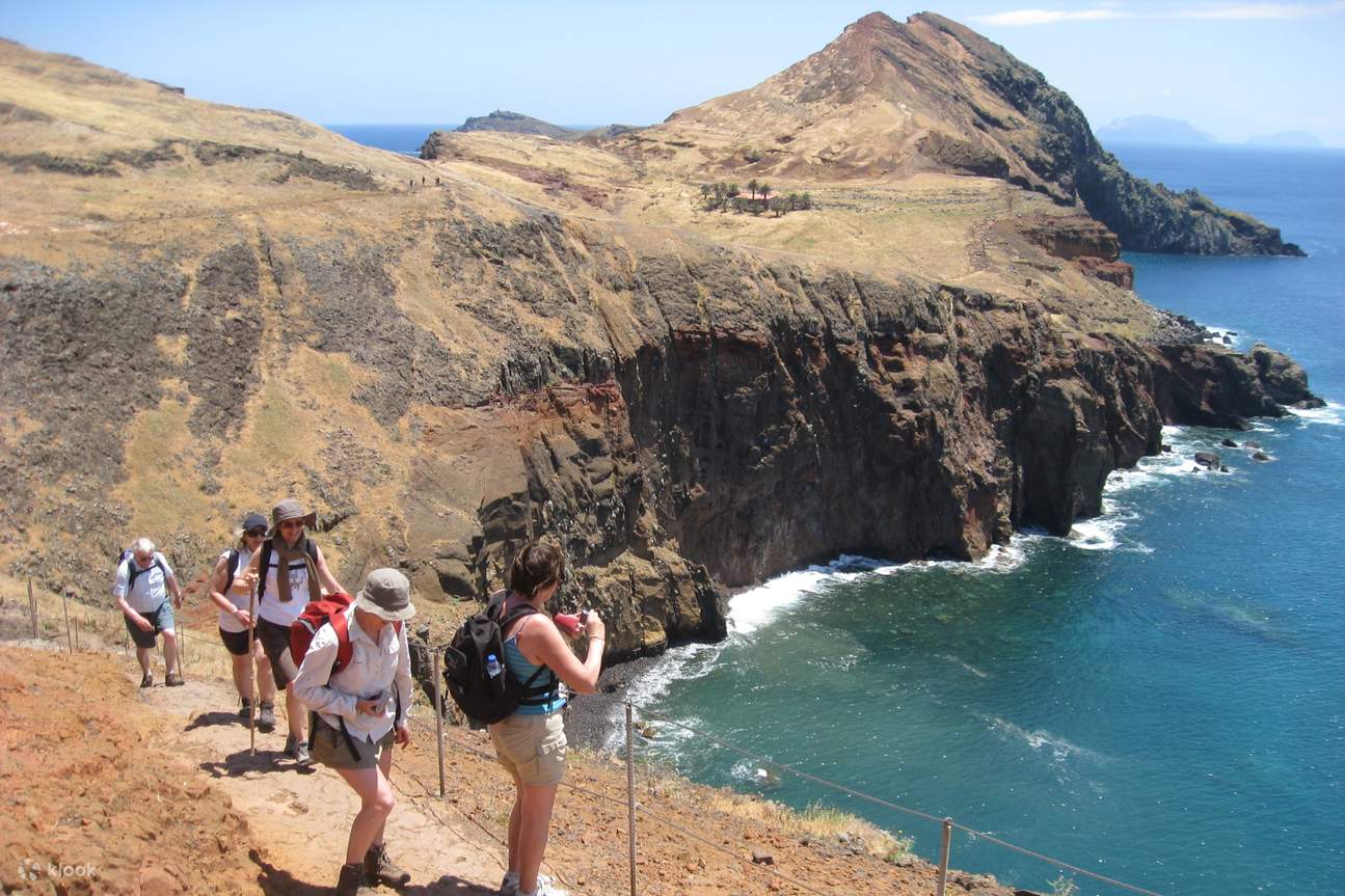 Canical Hiking Tour from Funchal - Klook