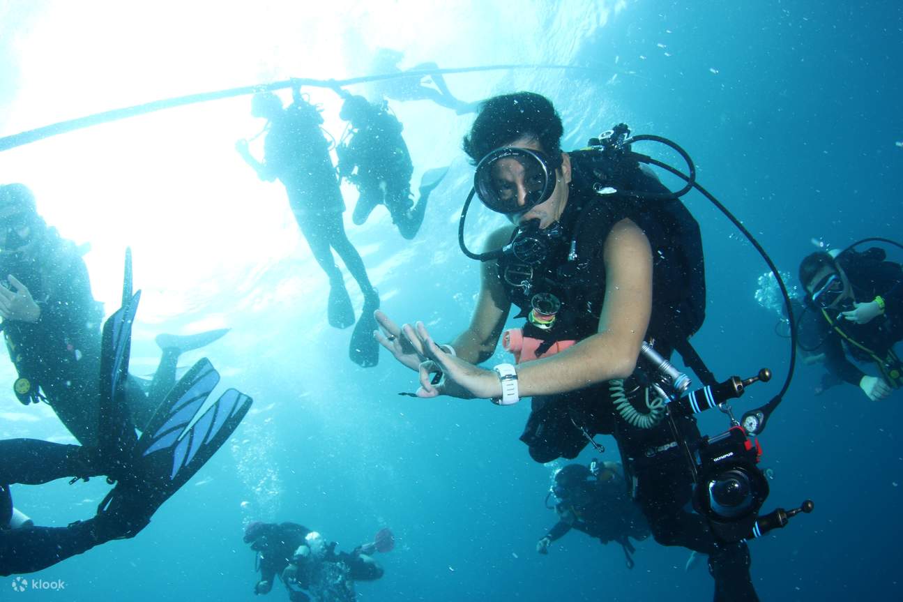 普吉島Freedive Aida潛水體驗（Fossette提供） - Klook 客路
