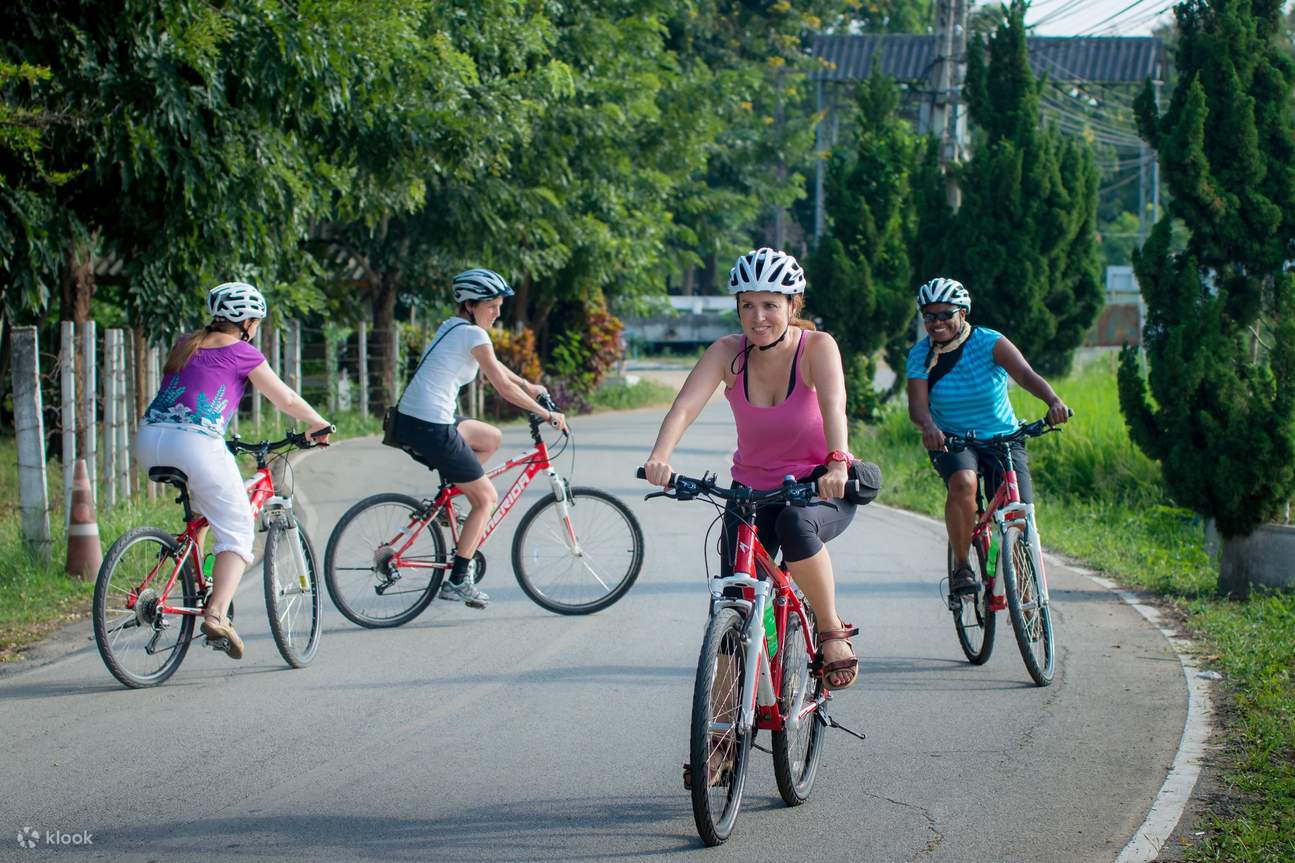 Chiang Mai Day Countryside Active E-Bike Ride - Klook